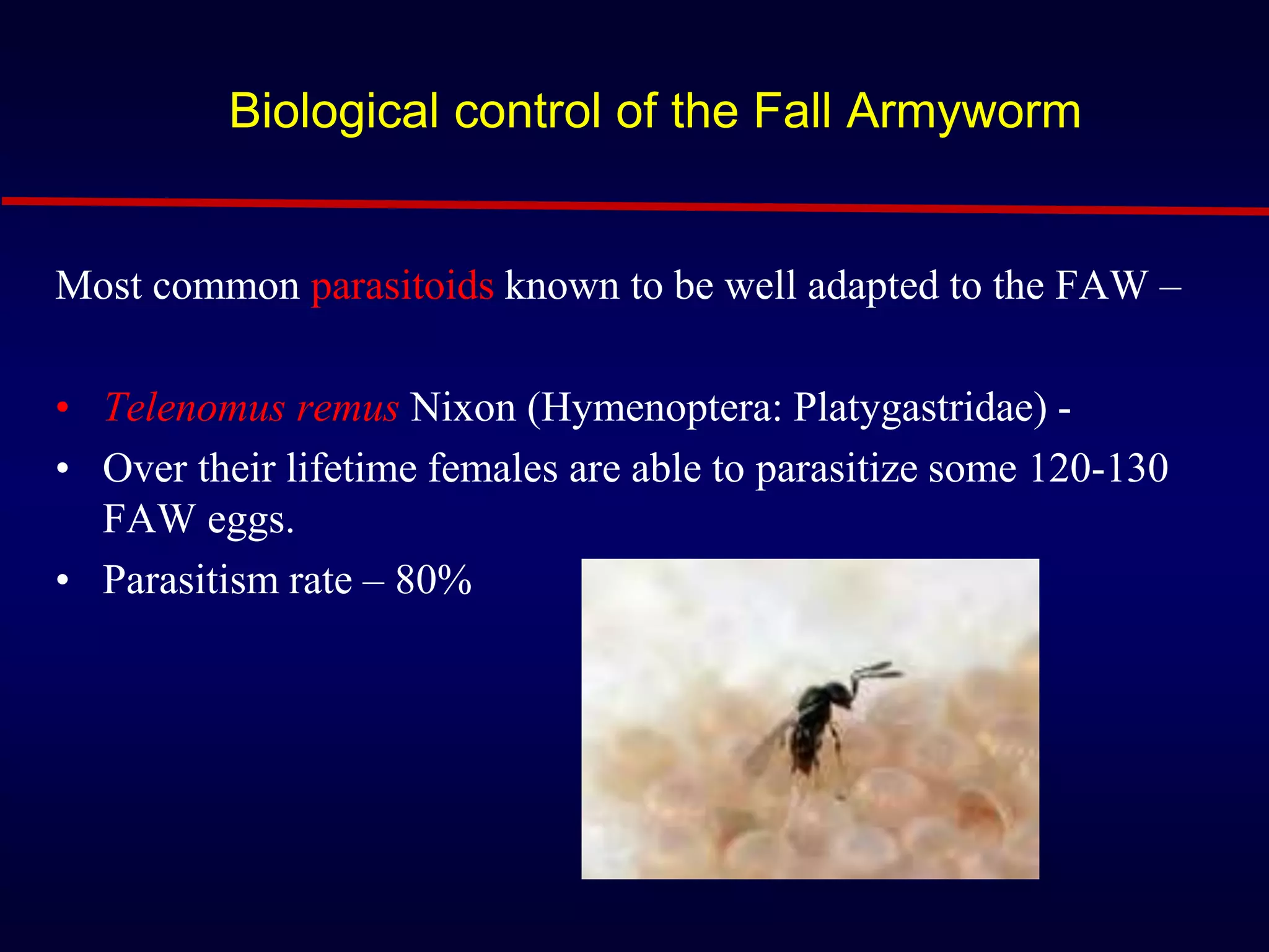 Fall army worm (Spodoptera frugiperda) | PPT