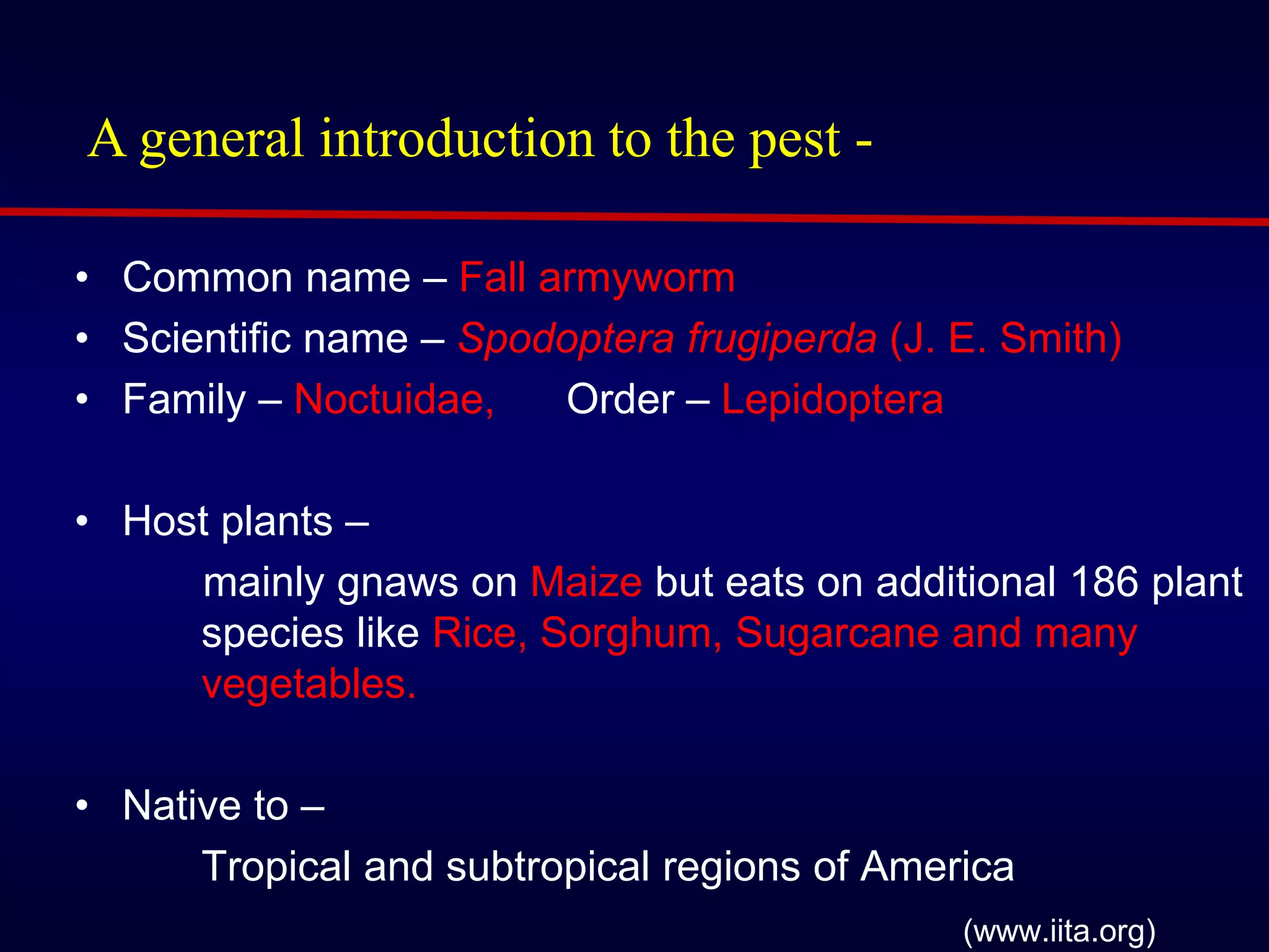 Fall army worm (Spodoptera frugiperda) | PPT