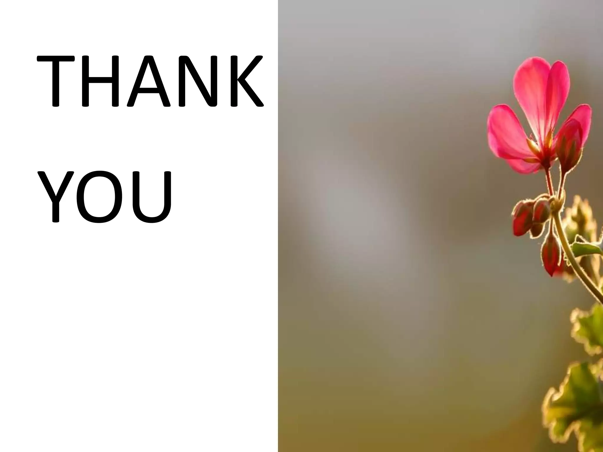 Precipitate labour | PPTX