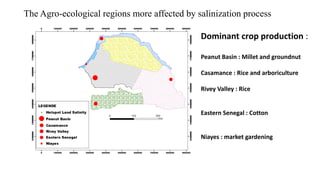 The status of salt-affected soils and spatial modelling of the soil ...