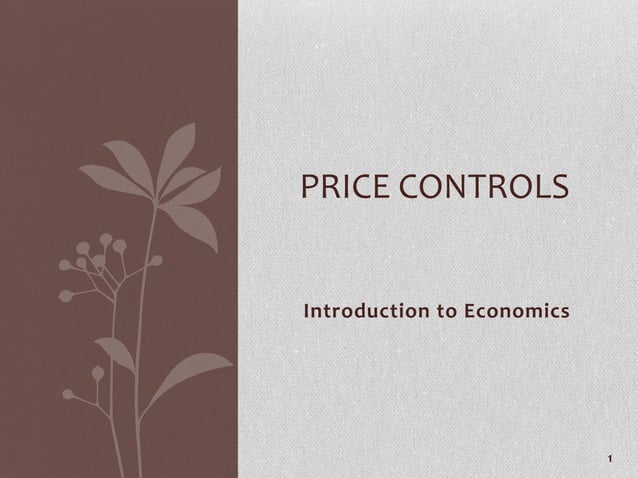 Price Controls | PPTX