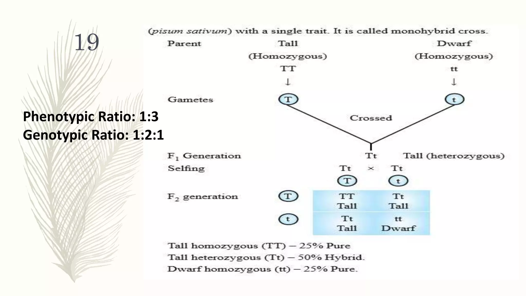 5 principles of inheritance and variation | PPT