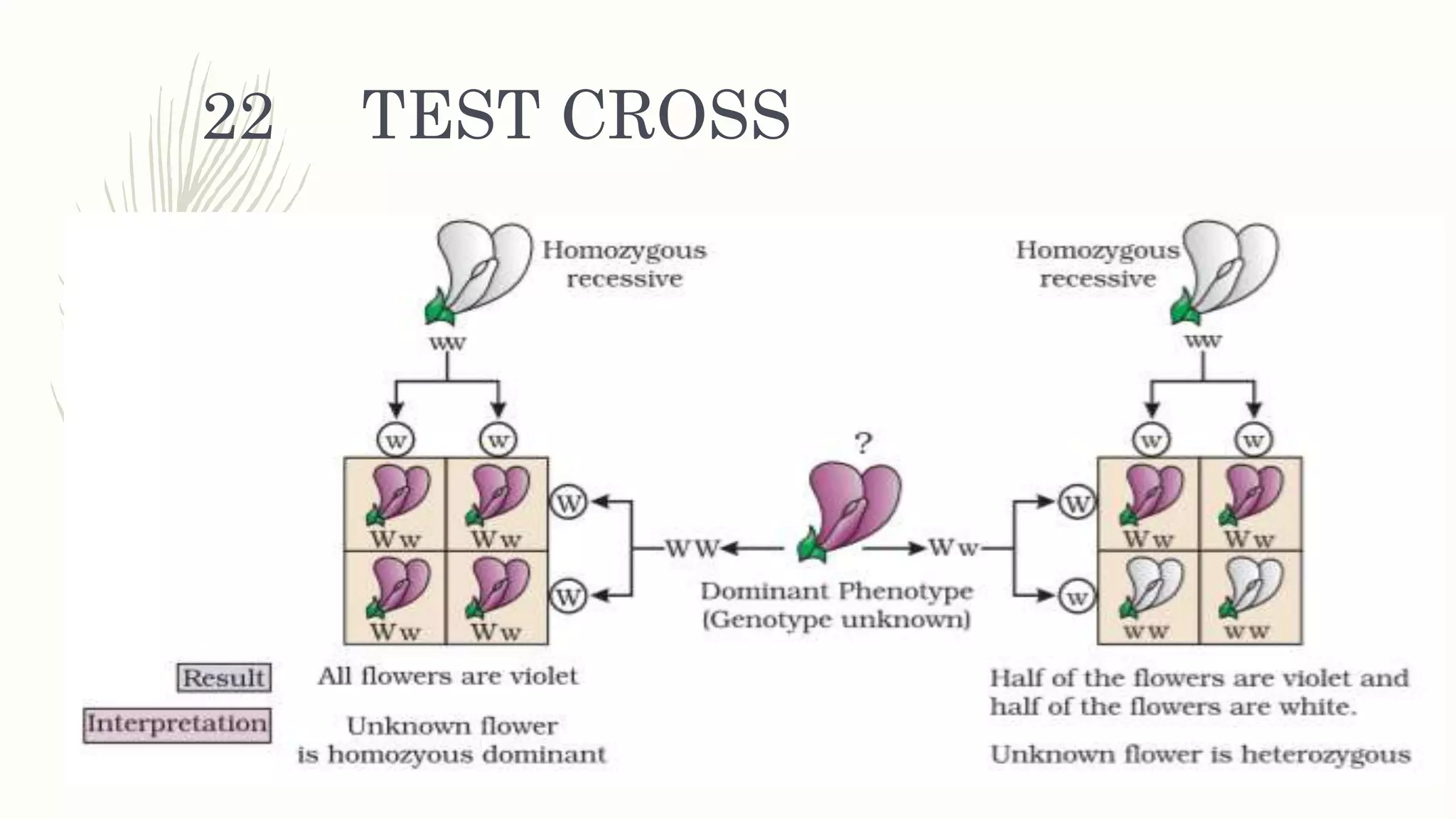 5 principles of inheritance and variation | PPT