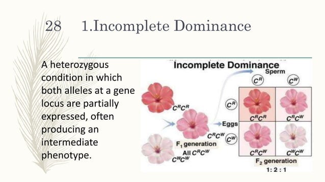 5 principles of inheritance and variation | PPT