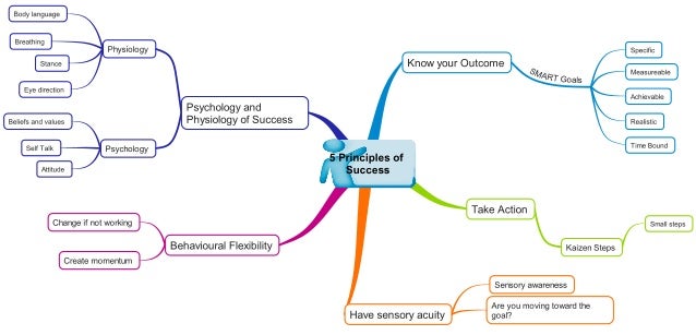 5 principles of success mindmap