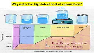 5_Properties of Water.pptx | Chemistry | Science