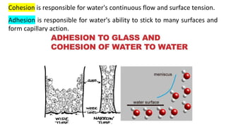 5_Properties of Water.pptx | Chemistry | Science