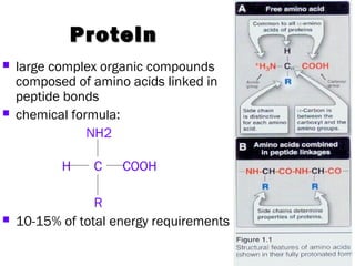 Proteins | PPT