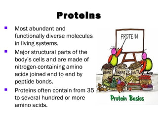 Proteins | PPT