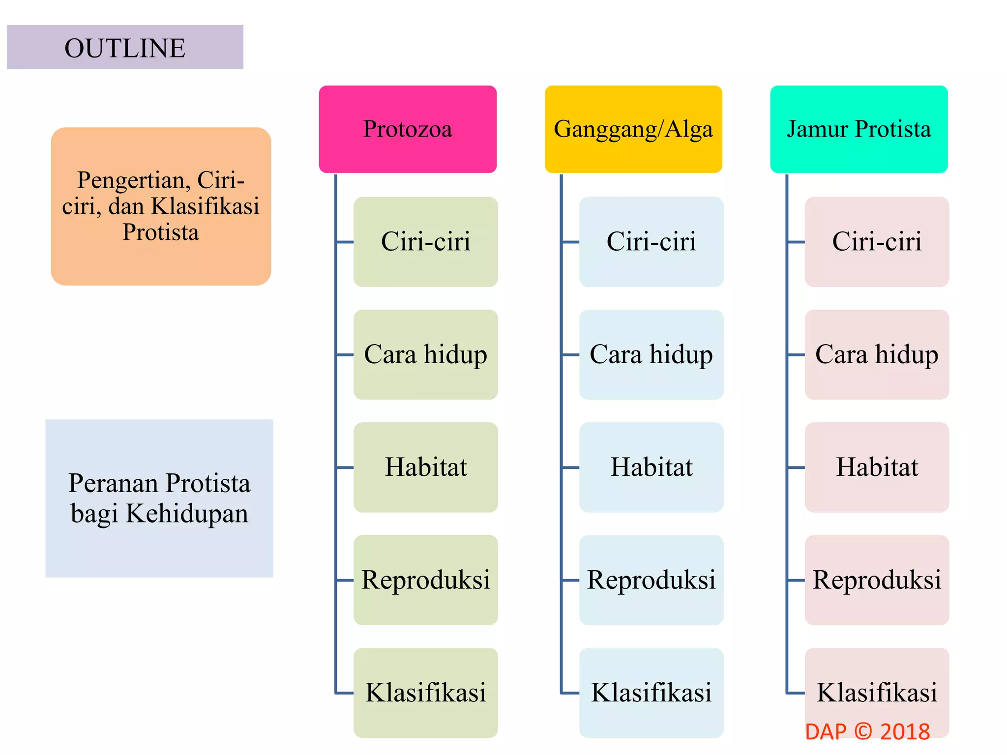 Kingdom Protista | PPTX