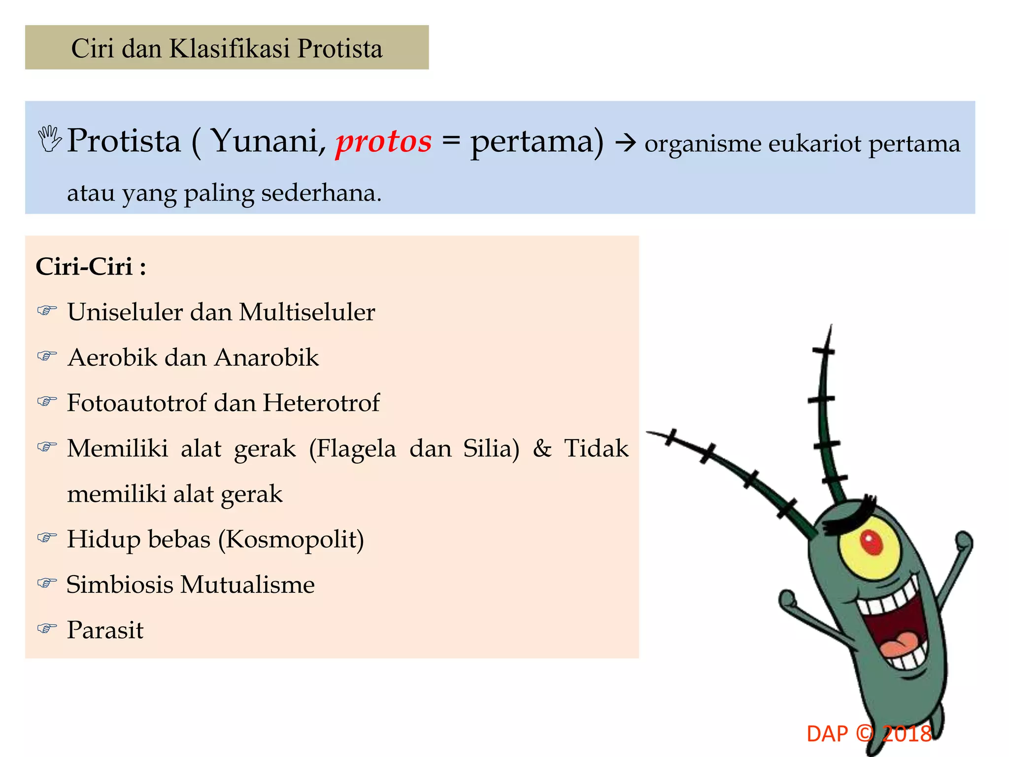 Kingdom Protista | PPTX