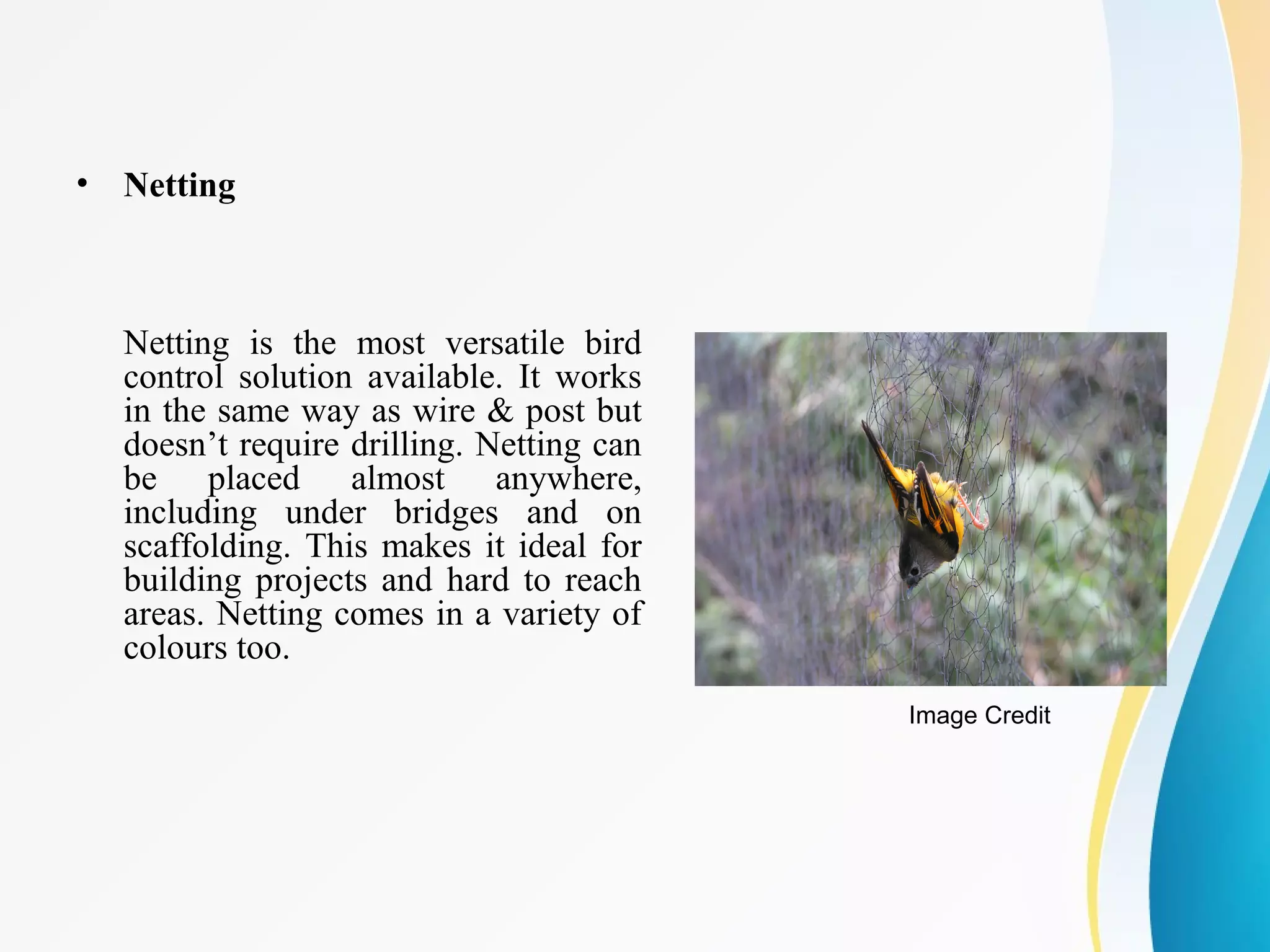 5 proven methods of bird control | PPT