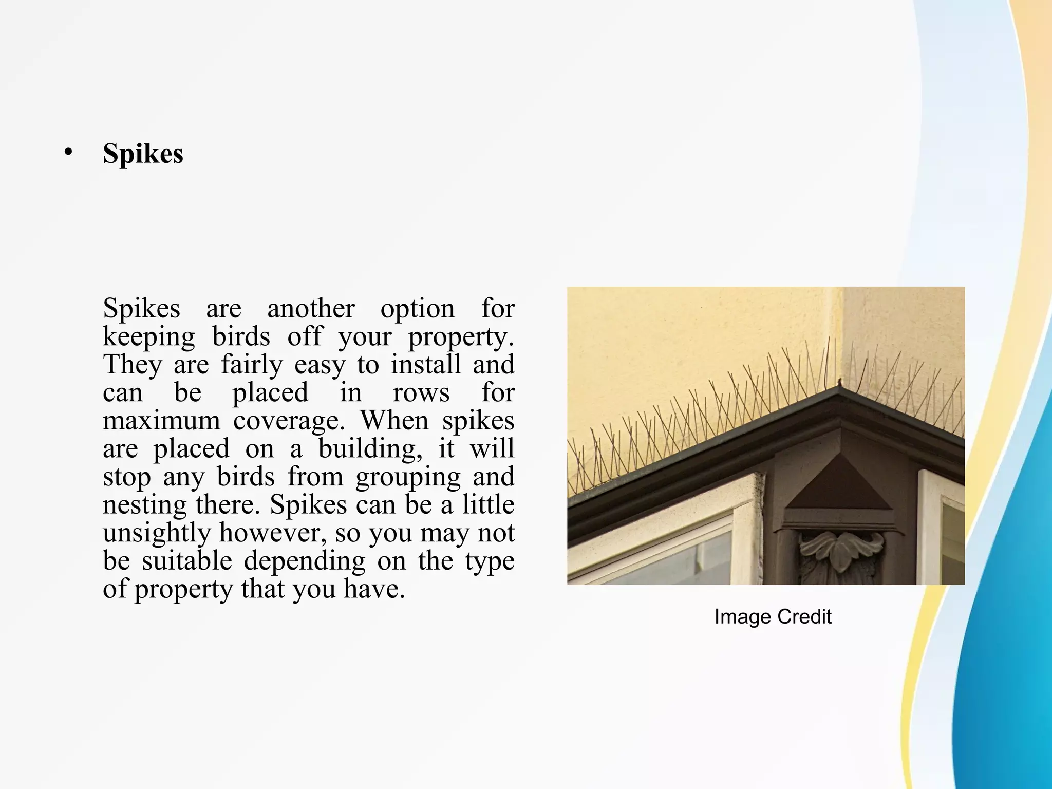 5 proven methods of bird control | PPT