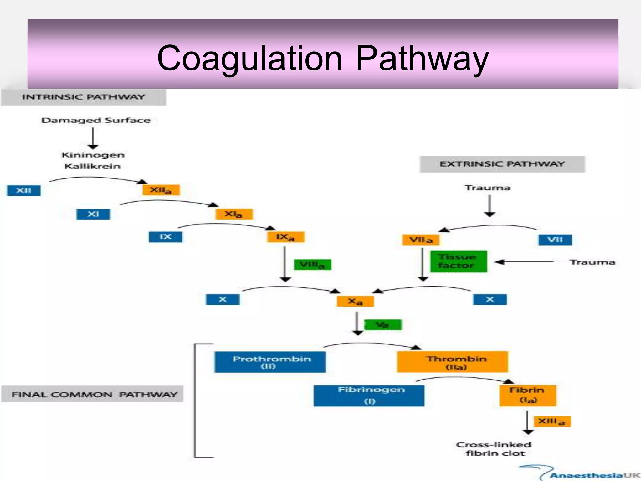 Drugs used in disorders of coagulation | PPTX