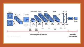 PyTorch and Transfer Learning | PDF | Web Development | Internet