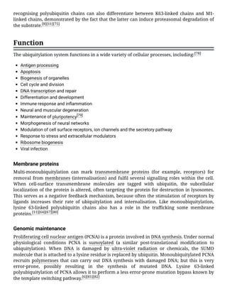 Ubiquitin - function, structure, mechanism | PDF