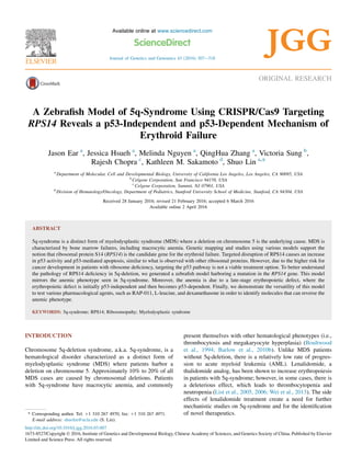 5q syndrome | PDF