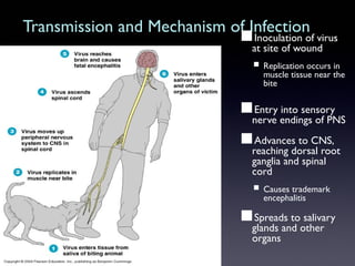 Rabies & Polio | PPT
