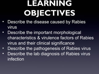 Rabies & Polio | PPT