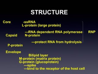 Rabies & Polio | PPT