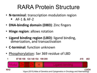 Retinoic Acid Receptor Alpha | PPTX
