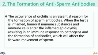 5 Reasons Tell You Why Orchitis Affects fertility | PPTX