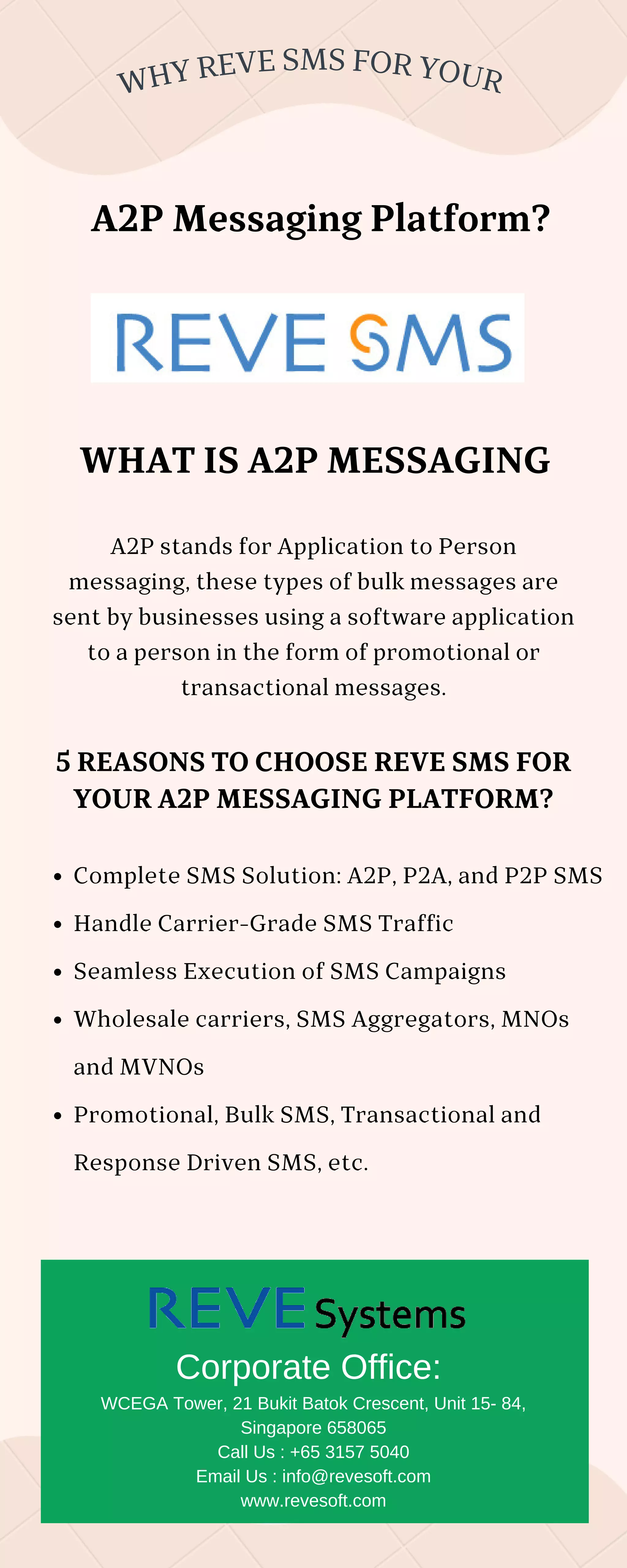 5 Reasons to Choose REVE SMS for your A2P Messaging Platform | PDF
