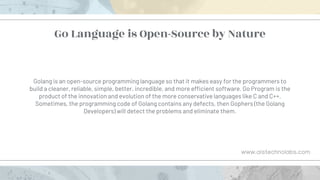 5 Reasons why Business Choose Go Program for Software Development | PPT