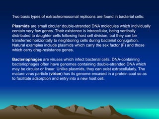 5 Recombinant DNA Technology.ppt