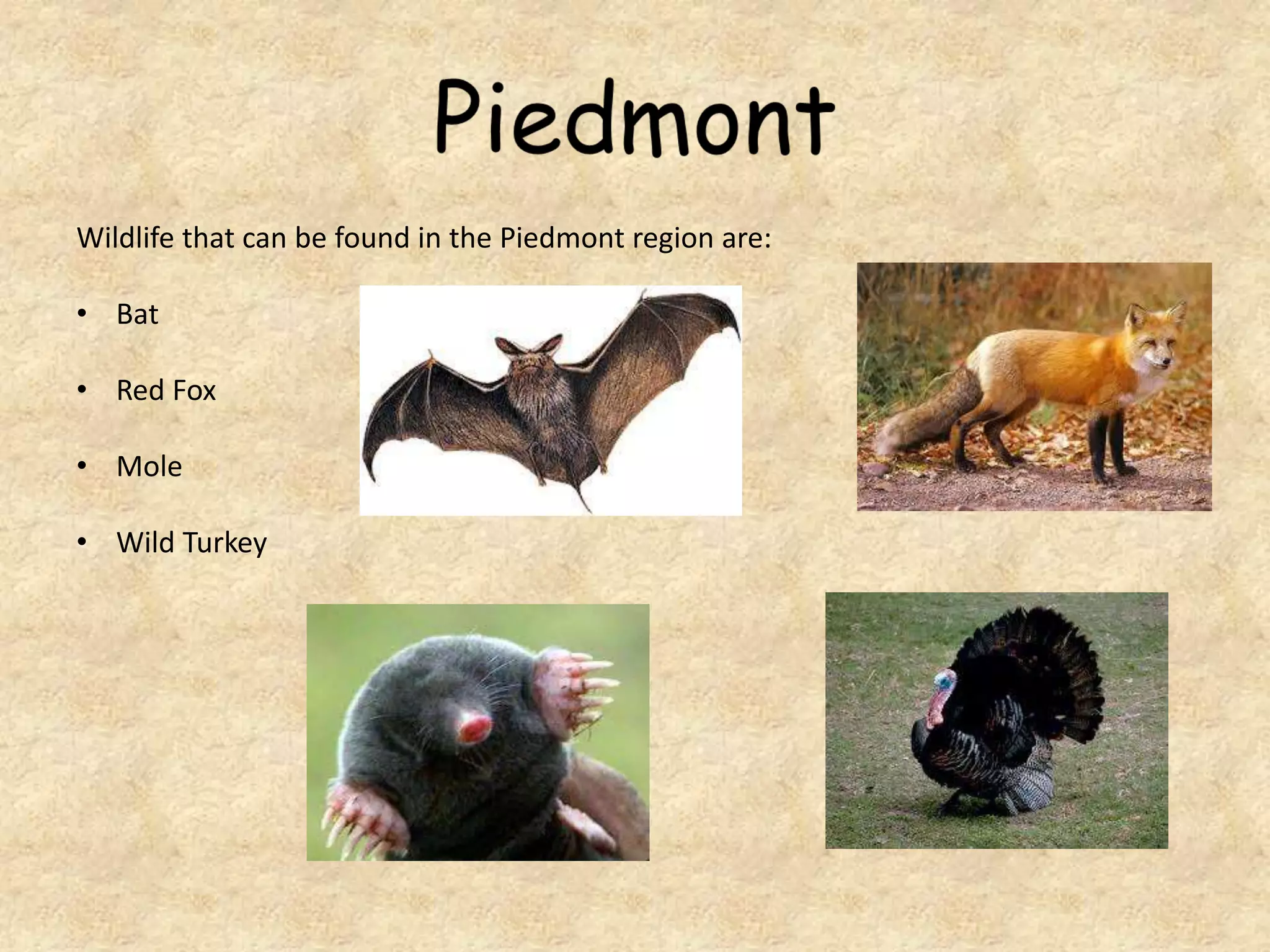 5 regions of georgia | PPTX