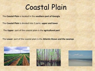 5 regions of georgia | PPTX