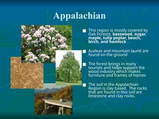 5 Regions of Georgia 5 Regions of Georgia | PPTX