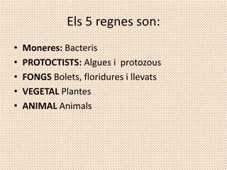 5 regnes | PPTX