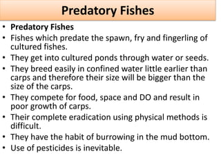 Removal of aquatic weeds, eradication of predatory, weed fishes from ...
