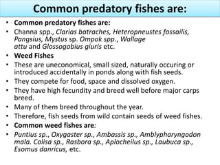 Removal of aquatic weeds, eradication of predatory, weed fishes from ...