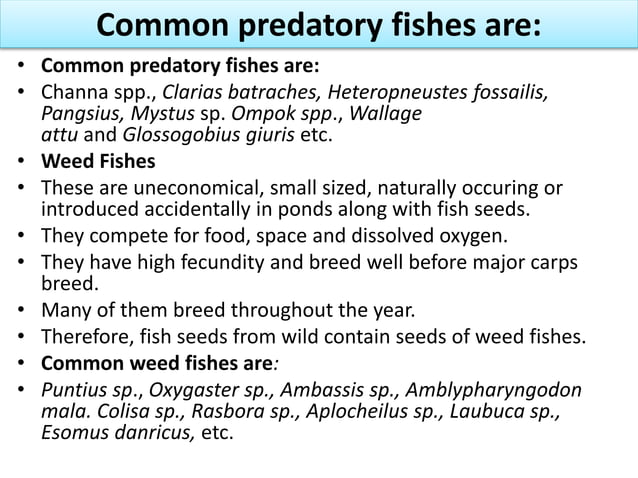 Removal of aquatic weeds, eradication of predatory, weed fishes from ...