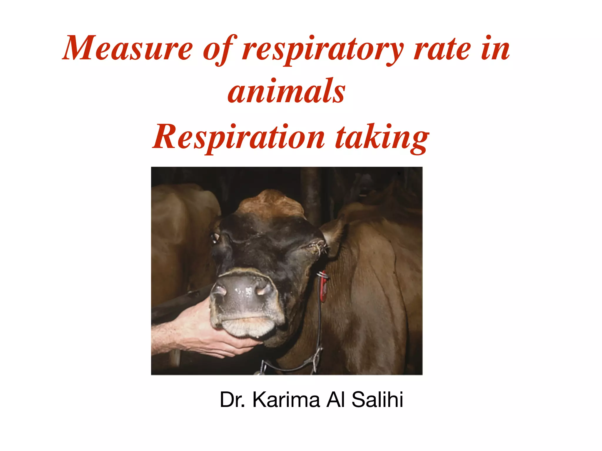 5 respiration taking | PDF