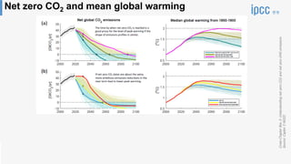 Net zero scenario dynamics | PPT