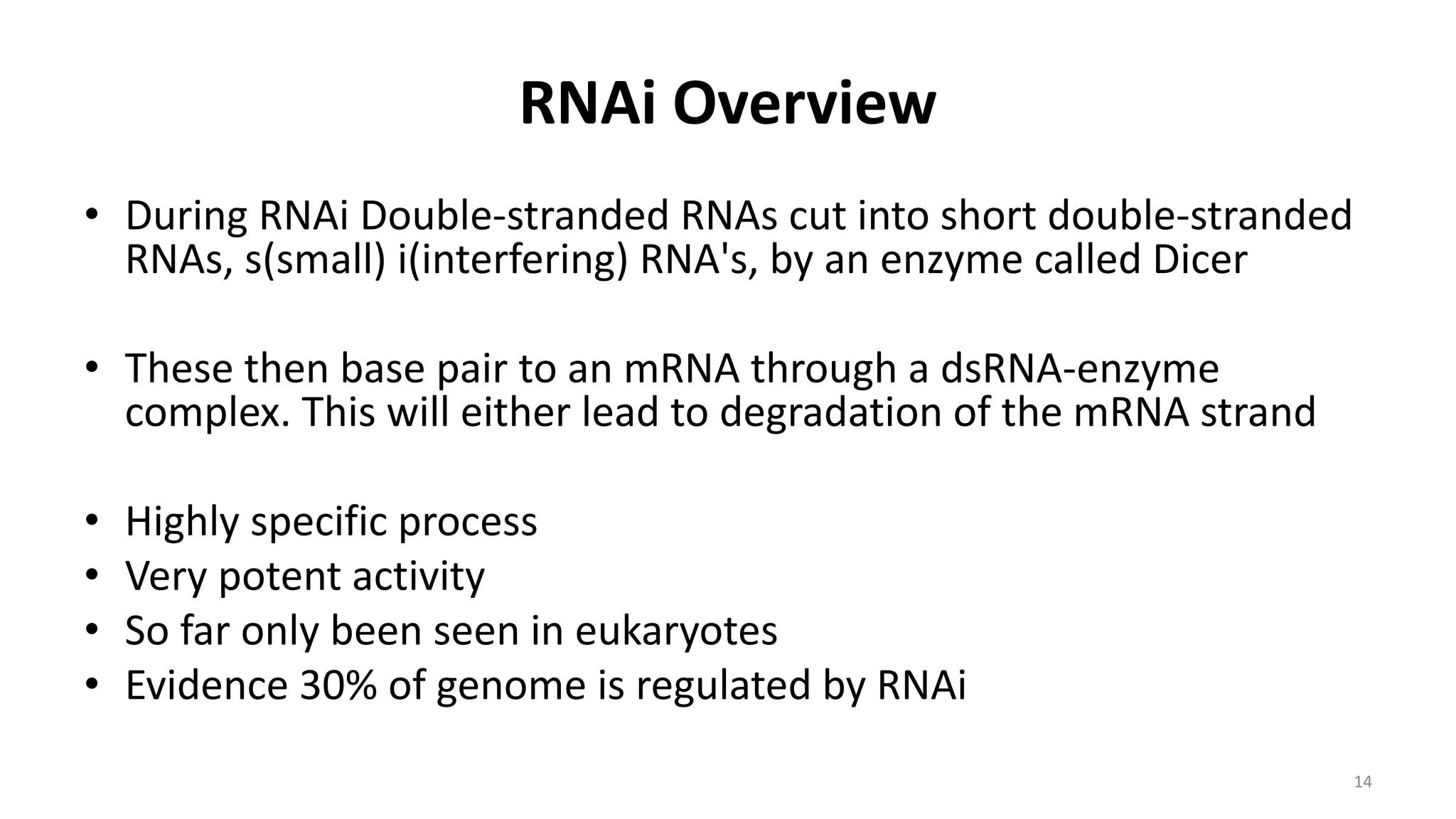 RNA interference | PPTX