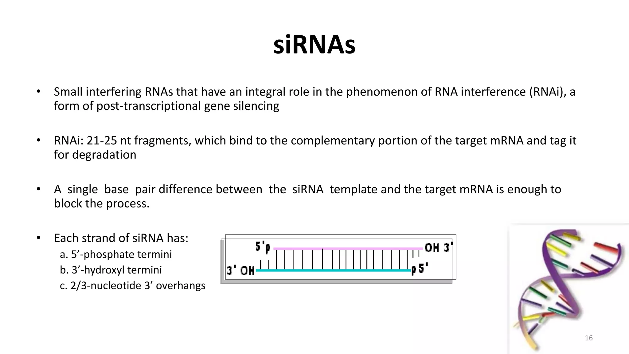 RNA interference | PPTX
