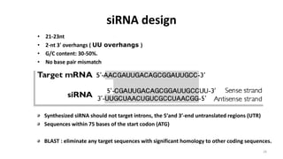 RNA interference | PPTX
