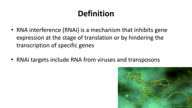 RNA interference | PPTX
