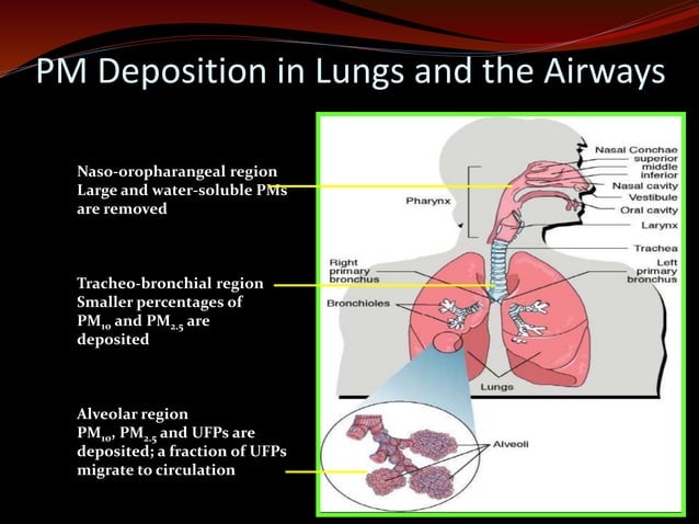 Air Pollution and its Effects on Human Health | PPTX | Lung and ...