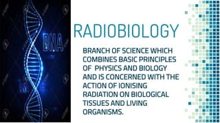 5 Rs OF RADIOBIOLOGY.pptx | Cancer | Diseases and Conditions
