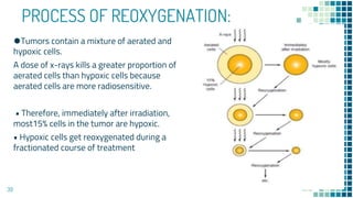 5 Rs OF RADIOBIOLOGY.pptx