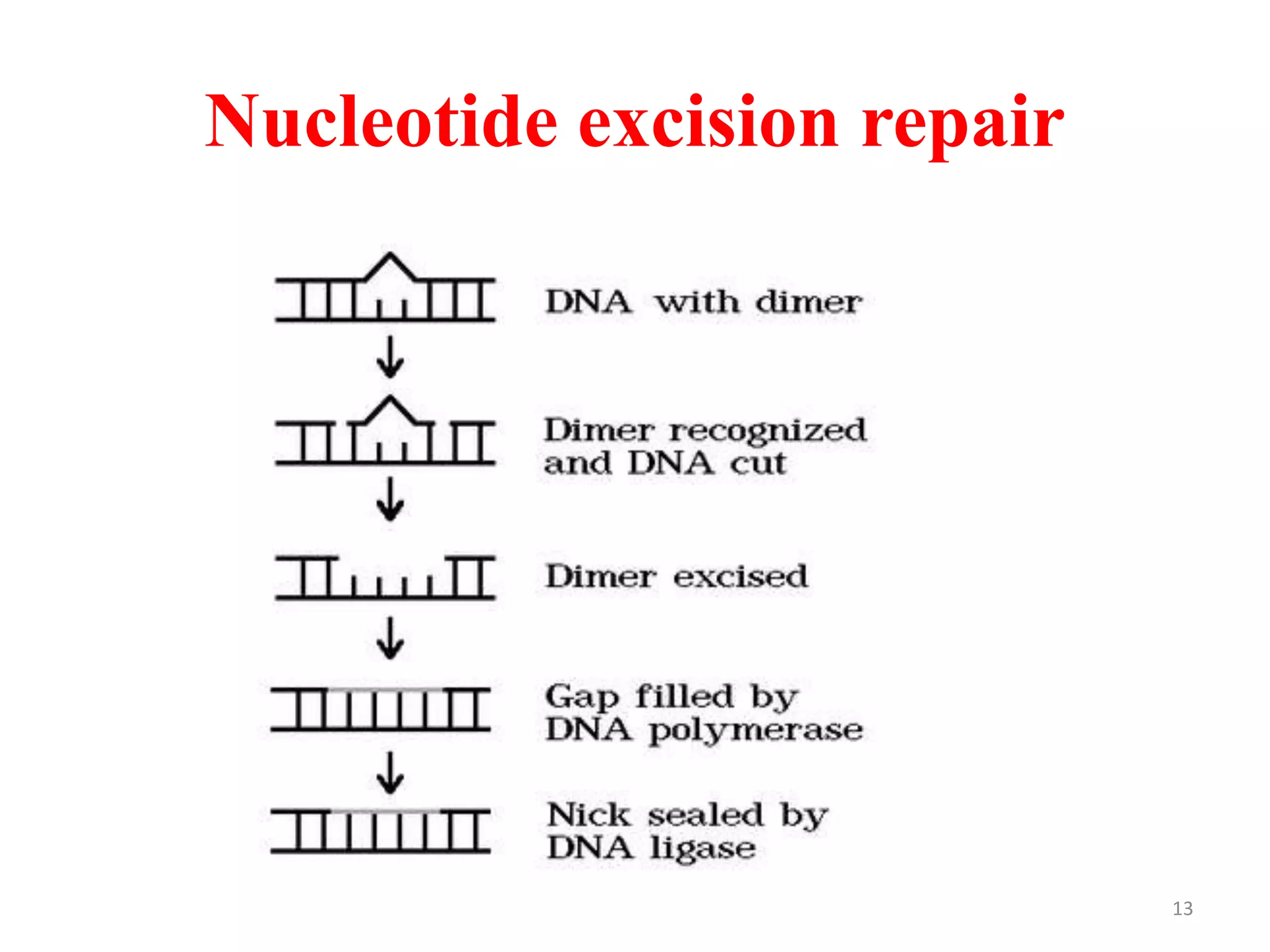 5 rs radiotherapy | PPTX