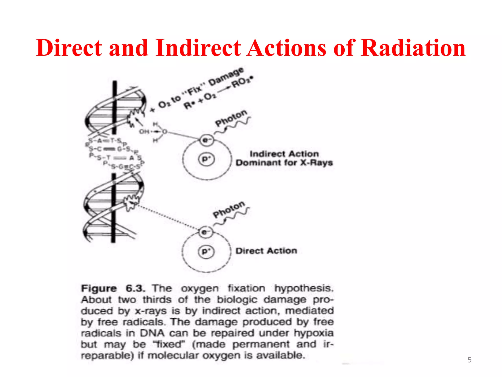 5 rs radiotherapy | PPTX