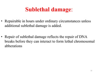 5 rs radiotherapy | PPTX