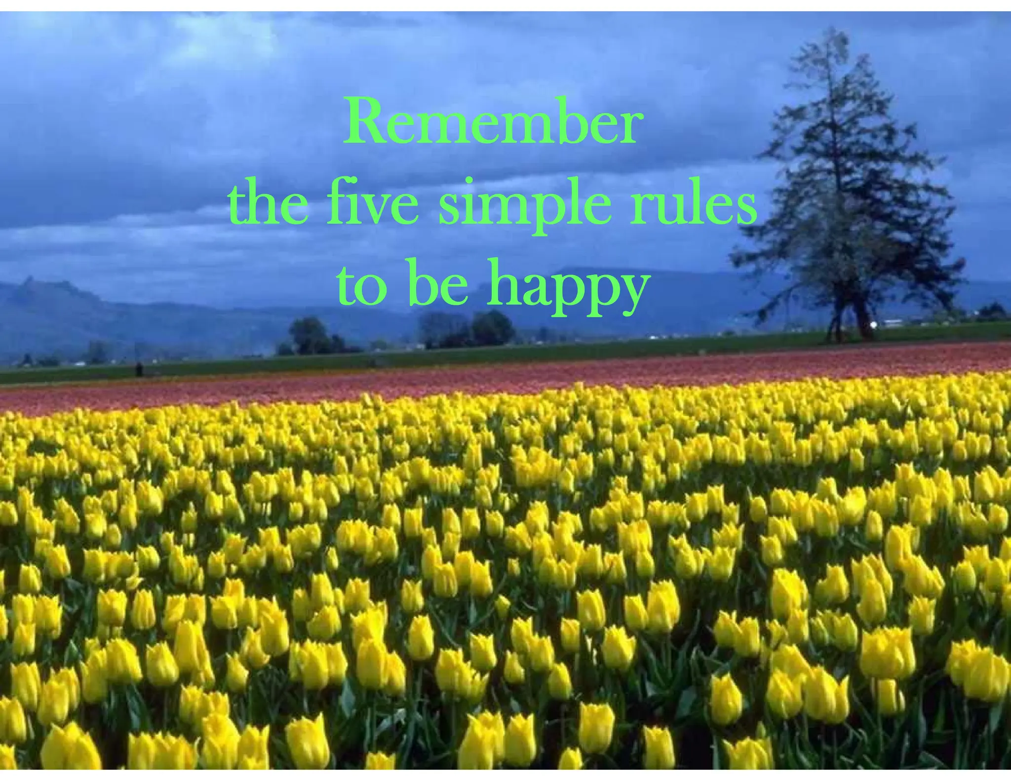 5 Rules in Life > Remember the five simple rules to be happy | PDF