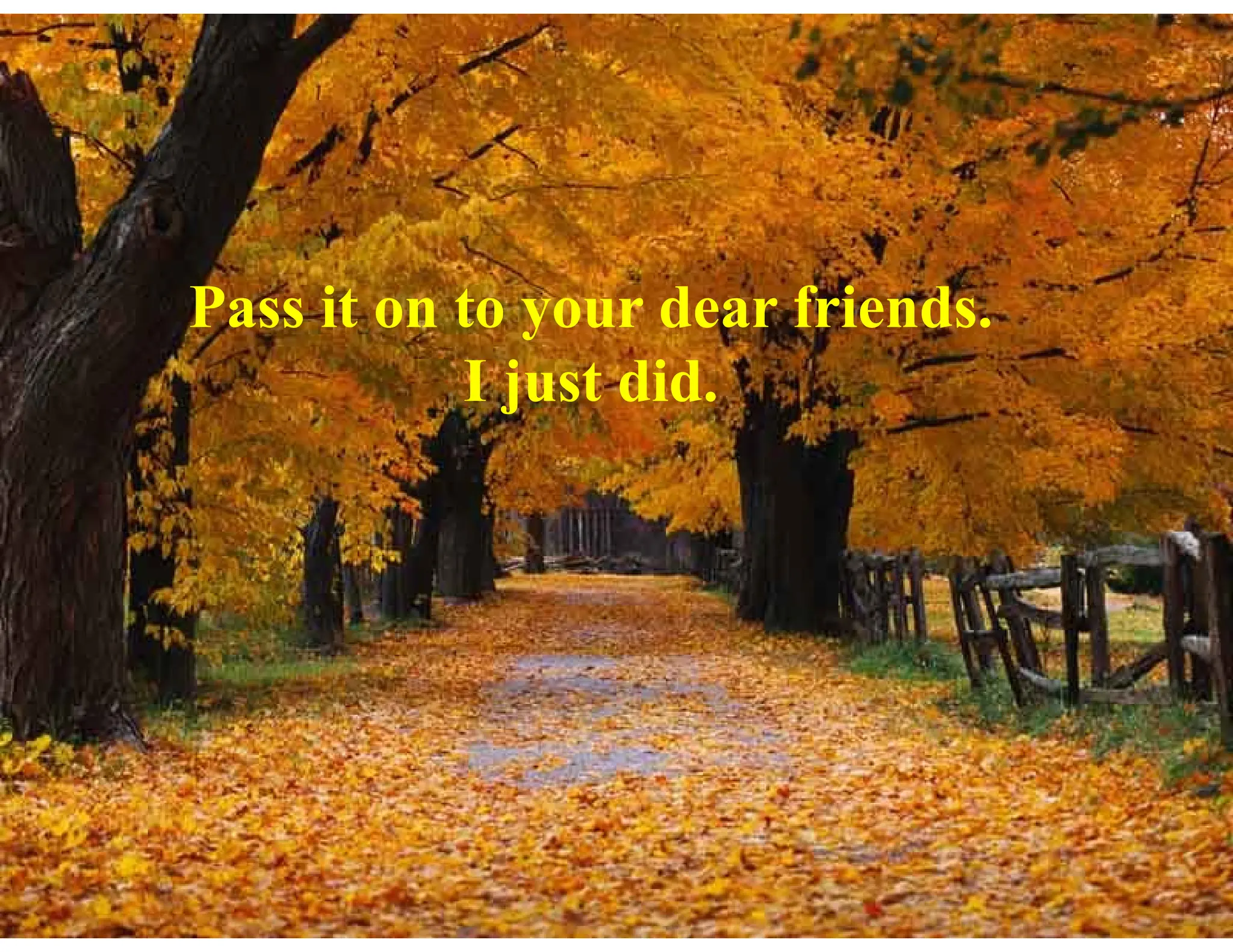 5 Rules in Life > Remember the five simple rules to be happy | PDF